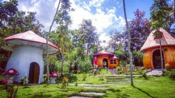 Wisata Merapi Jogja Lanjutan ; Paket Wisata Murah dan Terbaik - Rent ...